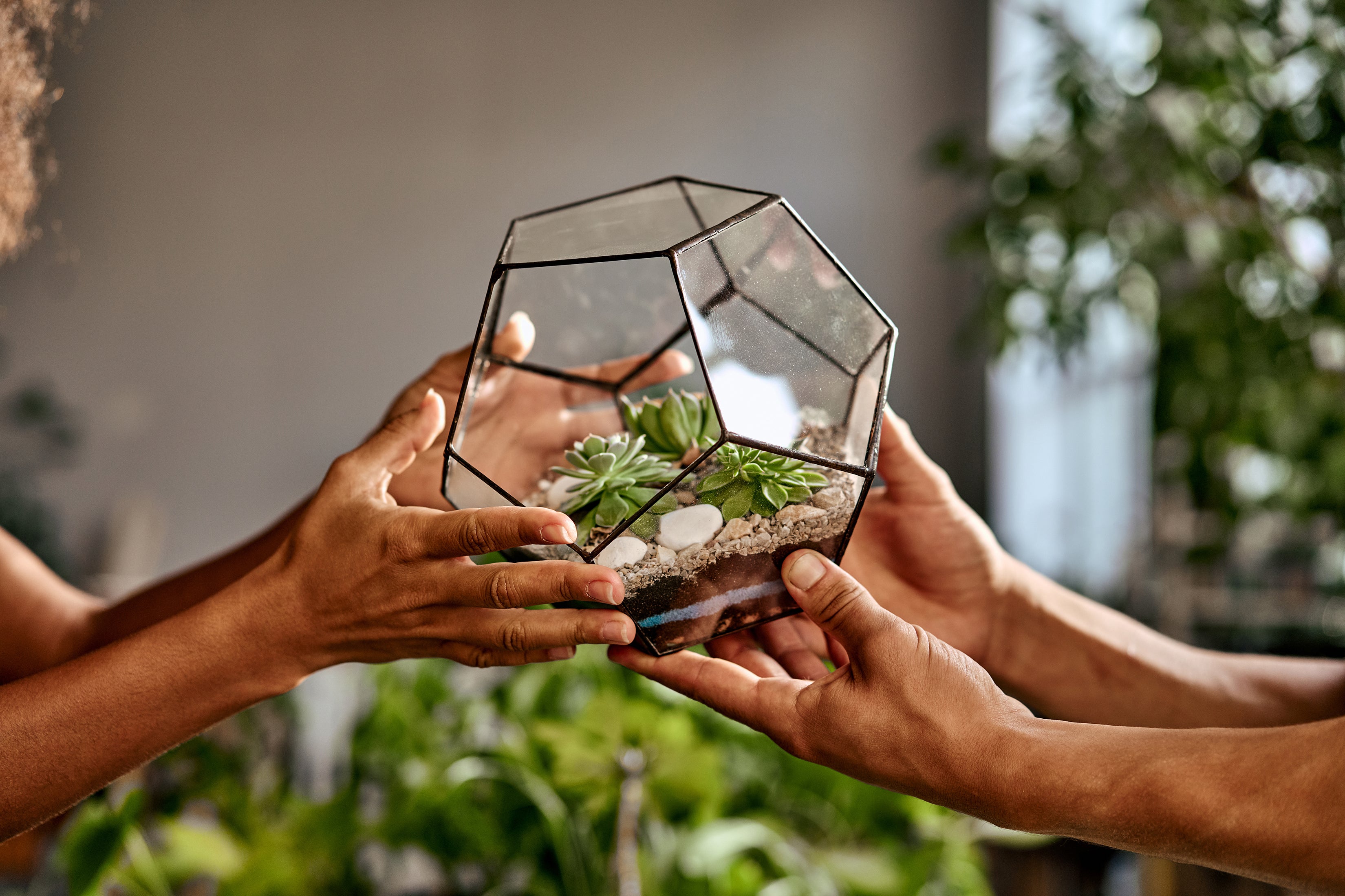 Terrarium-Making Party for Friends & Family: DIY Tips & Ideas – Cute Farms
