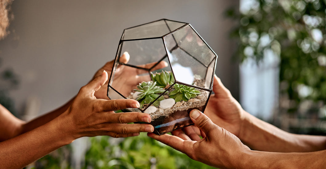 Terrarium-Making Party for Friends & Family: DIY Tips & Ideas – Cute Farms