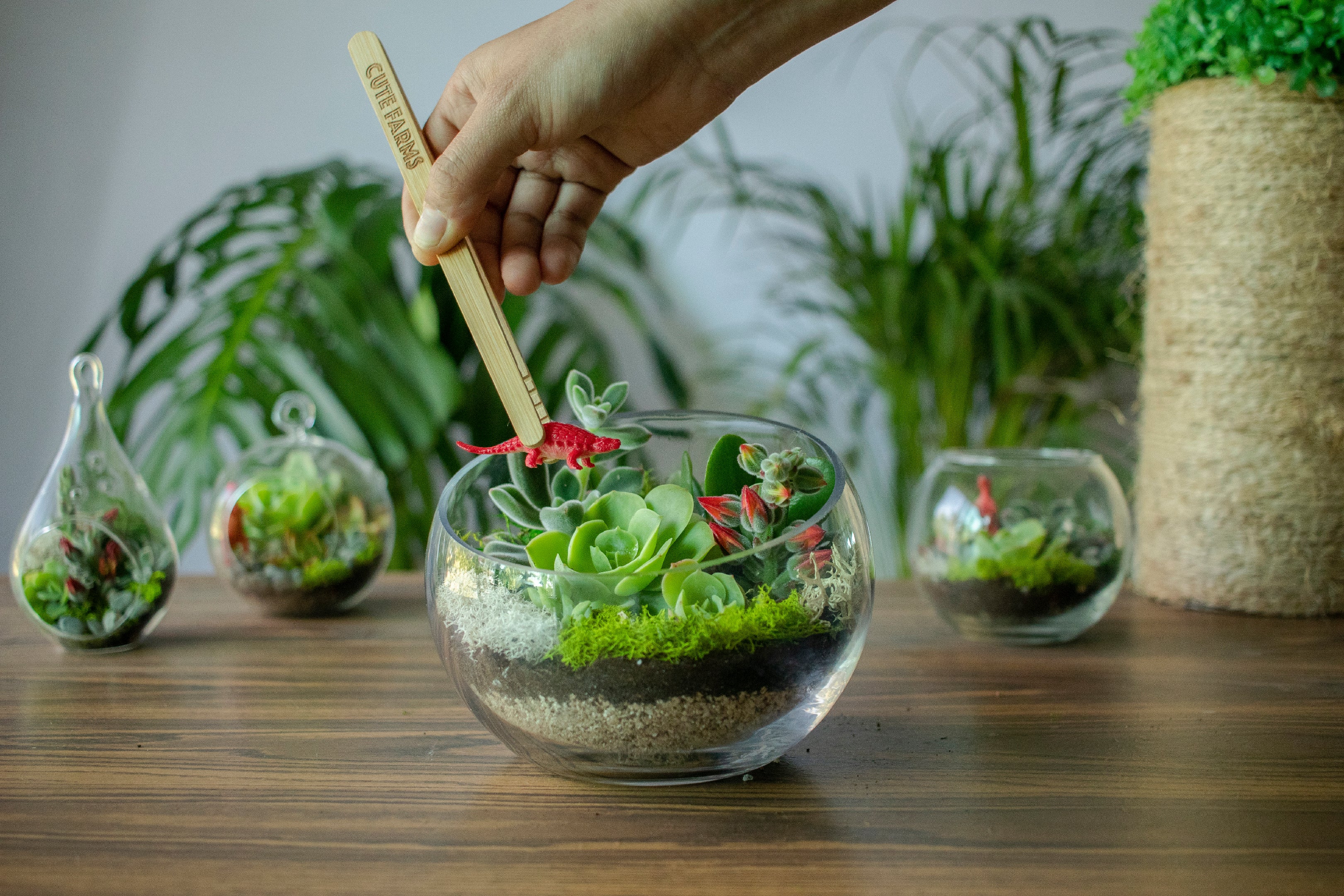 Transform Your Terrarium: 7 Creative Decorative Objects for Style and ...