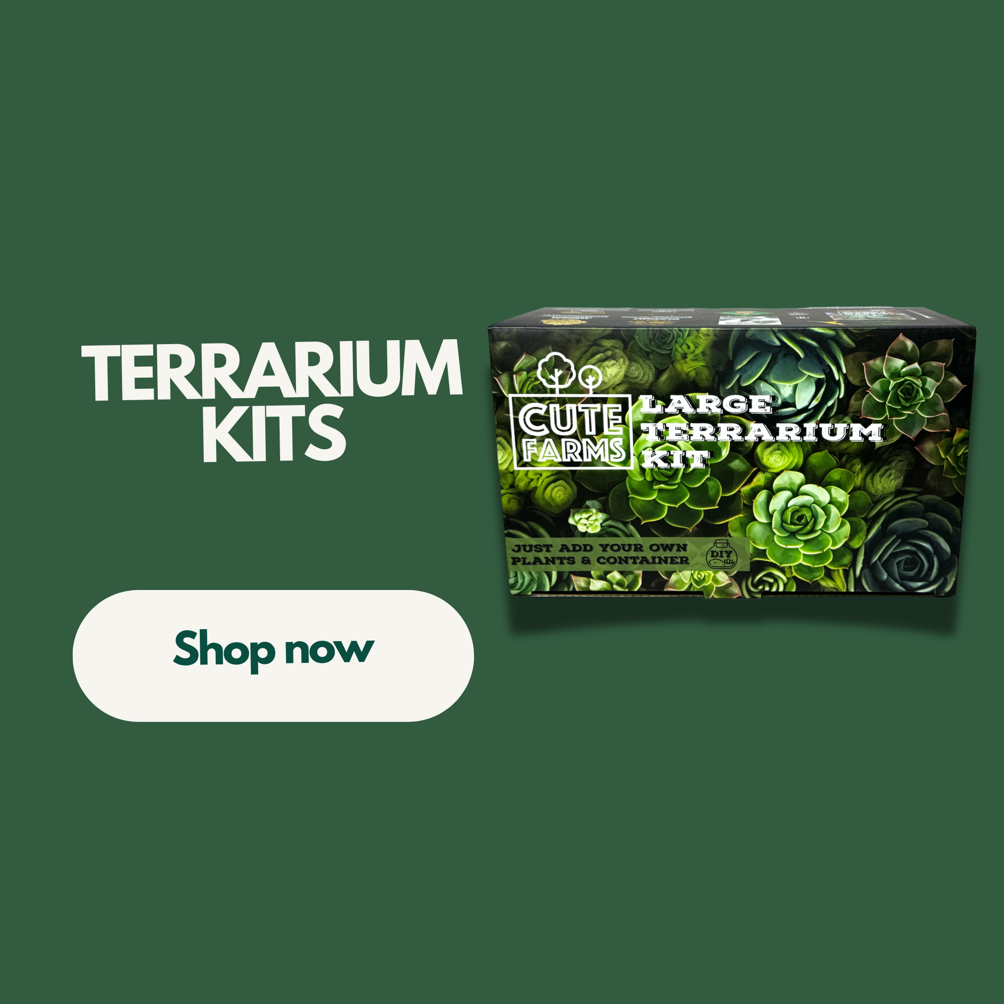 Terrarium Kits – Cute Farms